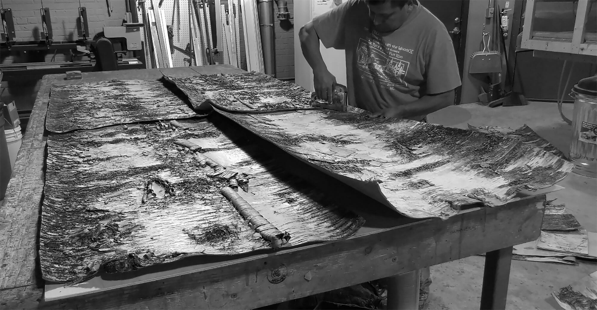 Gold Birch Bark Wall Panels | Bark House®