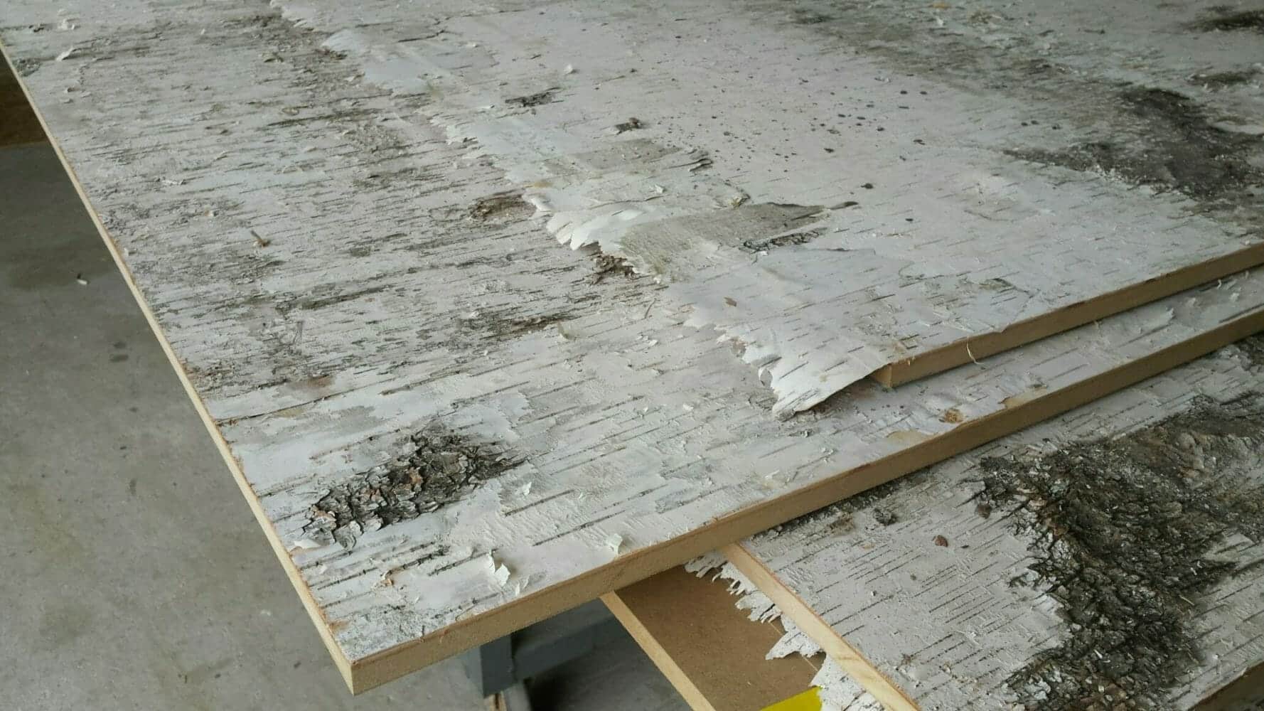 White Birch Bark Wall Panels | Bark House®