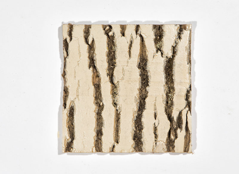 Poplar Bark Interior Wall Tiles | Bark House®